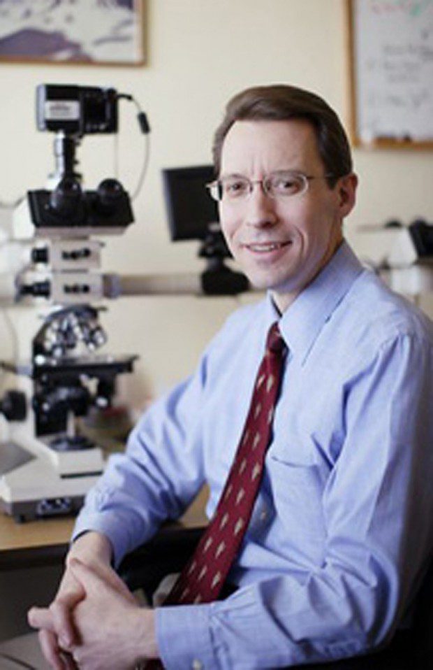 Mutational Analysis of GISTs: How, When, and Why – The Life Raft Group