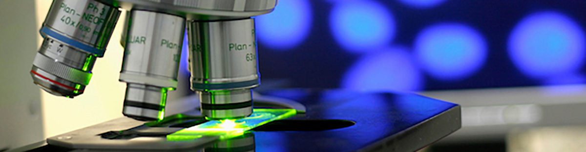 Tissue Bank – The Life Raft Group