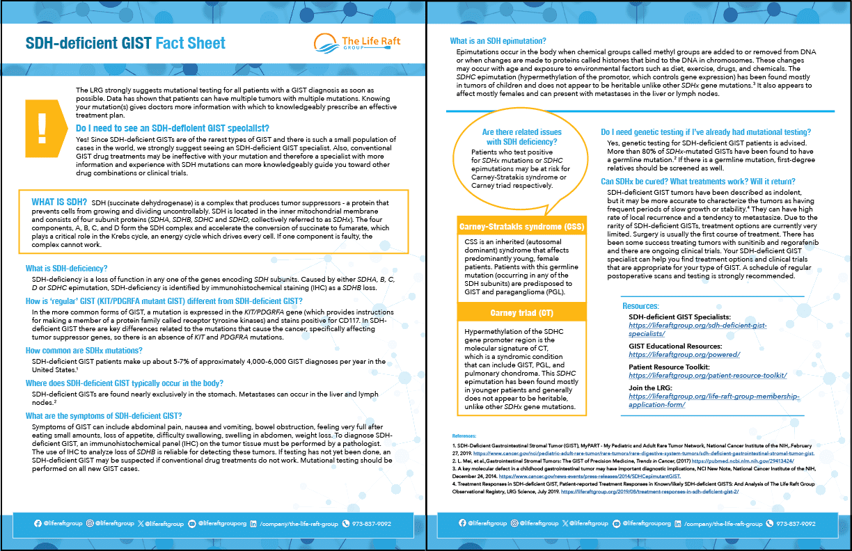 SDH in Action! - The Life Raft Group